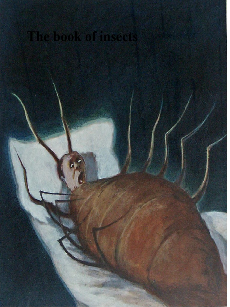 Lord of Insects: A Metamorphic Journey | PDF | Religion & Spirituality