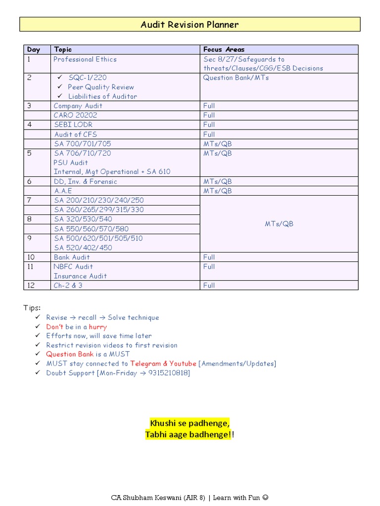 Audit Revision Planner | PDF