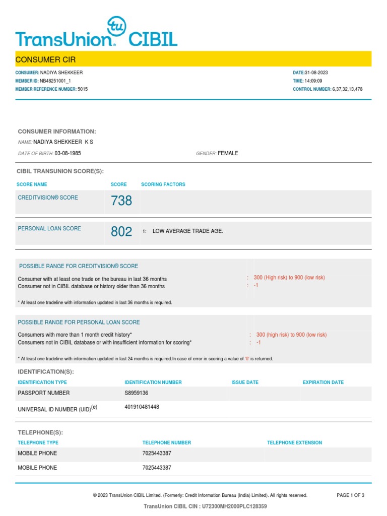 Report PDF Response Serv Let | PDF | Credit History | Credit