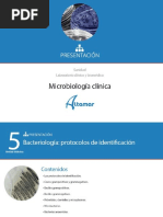 Alteraciones Morfológicas de Los Eritrocitos | PDF | Medicina CLINICA ...