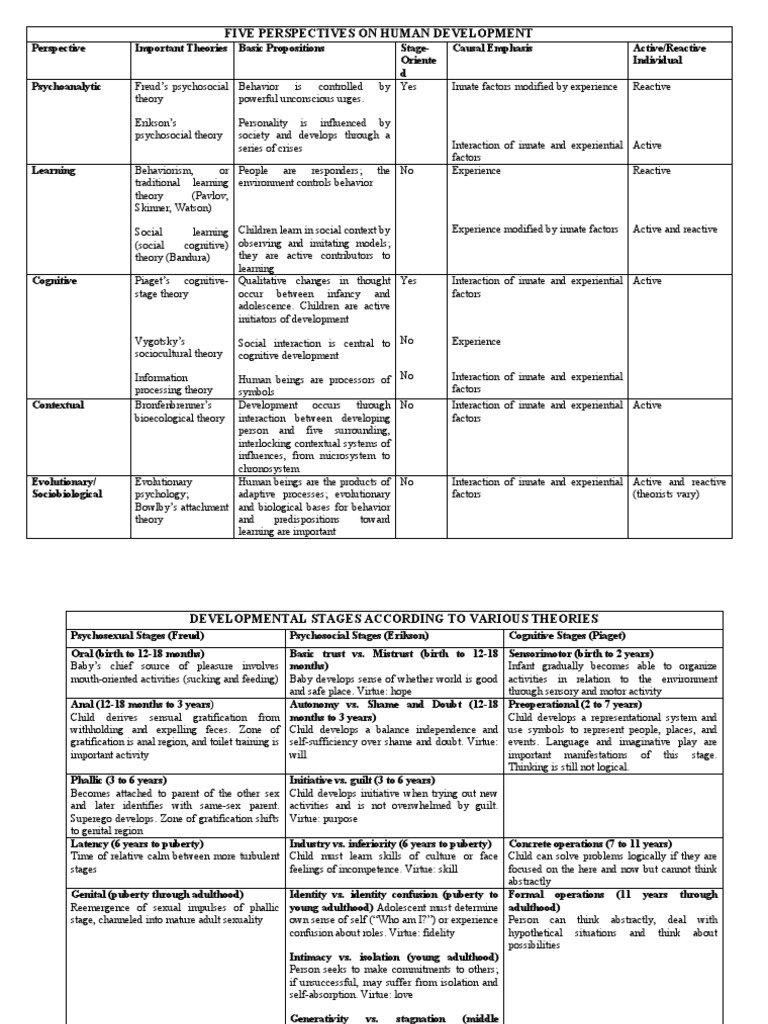 Human Development | PDF | Developmental Psychology | Behavioural Sciences