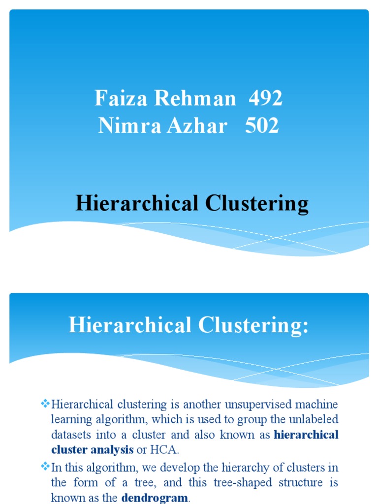 Hierarchical Clustering | PDF