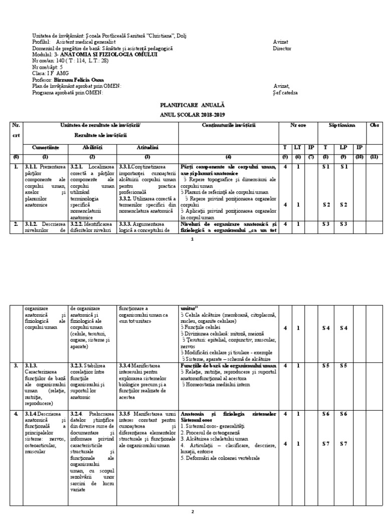 Planificare Anatomie Amg | PDF