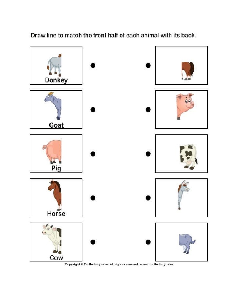 Animals Matching | PDF