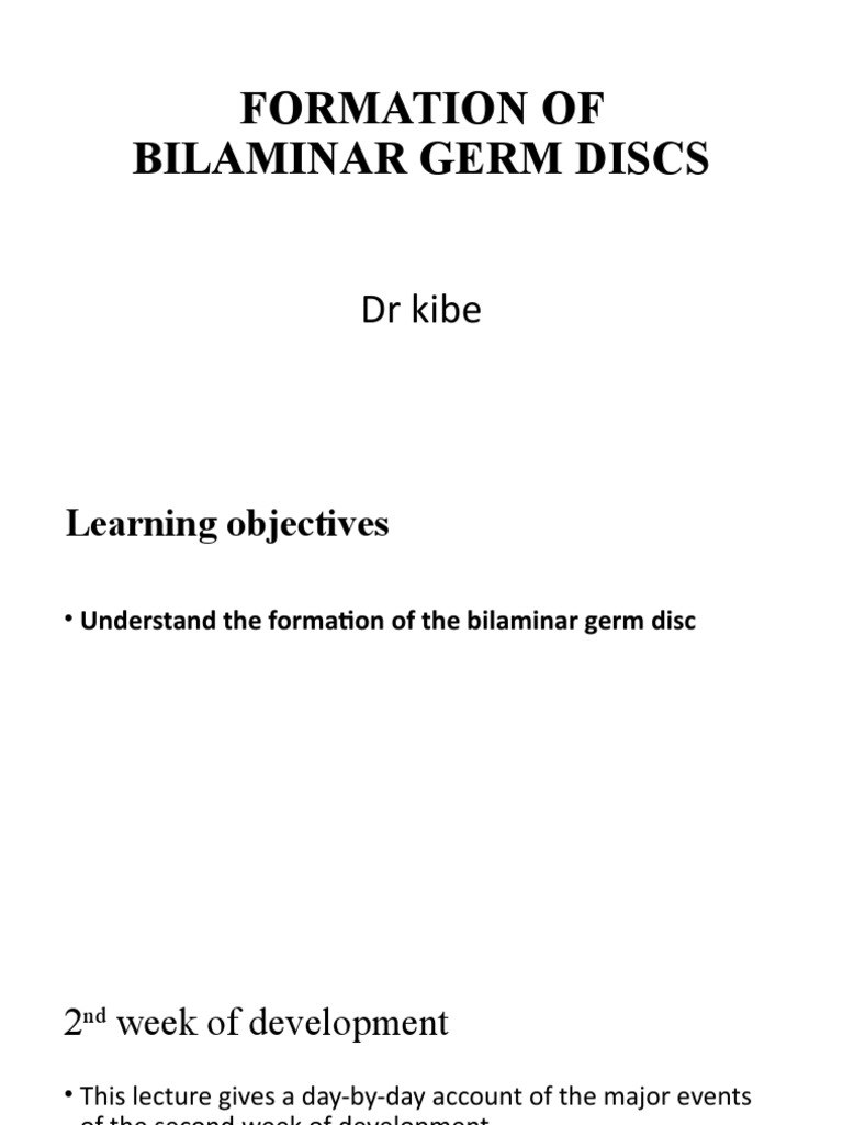 Bilaminar Germ Disc Formation | PDF | Medical Specialties | Morphology ...