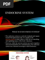 Introduction To The Endocrine System | PDF | Endocrine System | Hormone