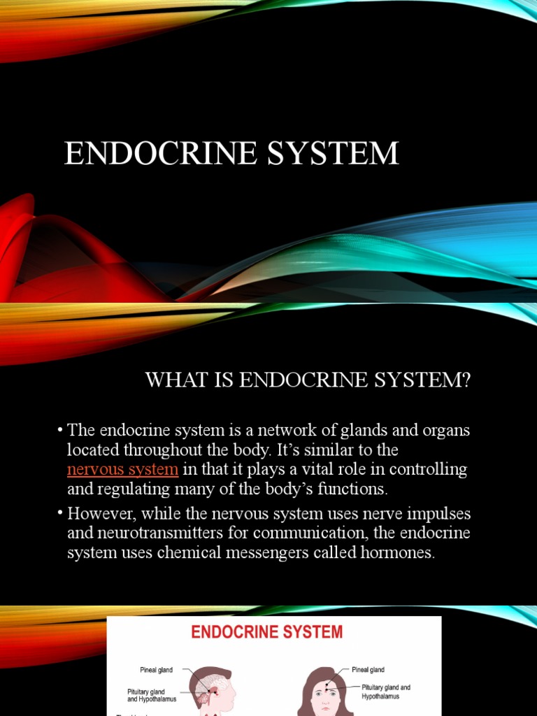 Endocrine System | PDF | Menstrual Cycle | Endocrine System
