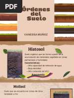 Suelo Gleysol | PDF