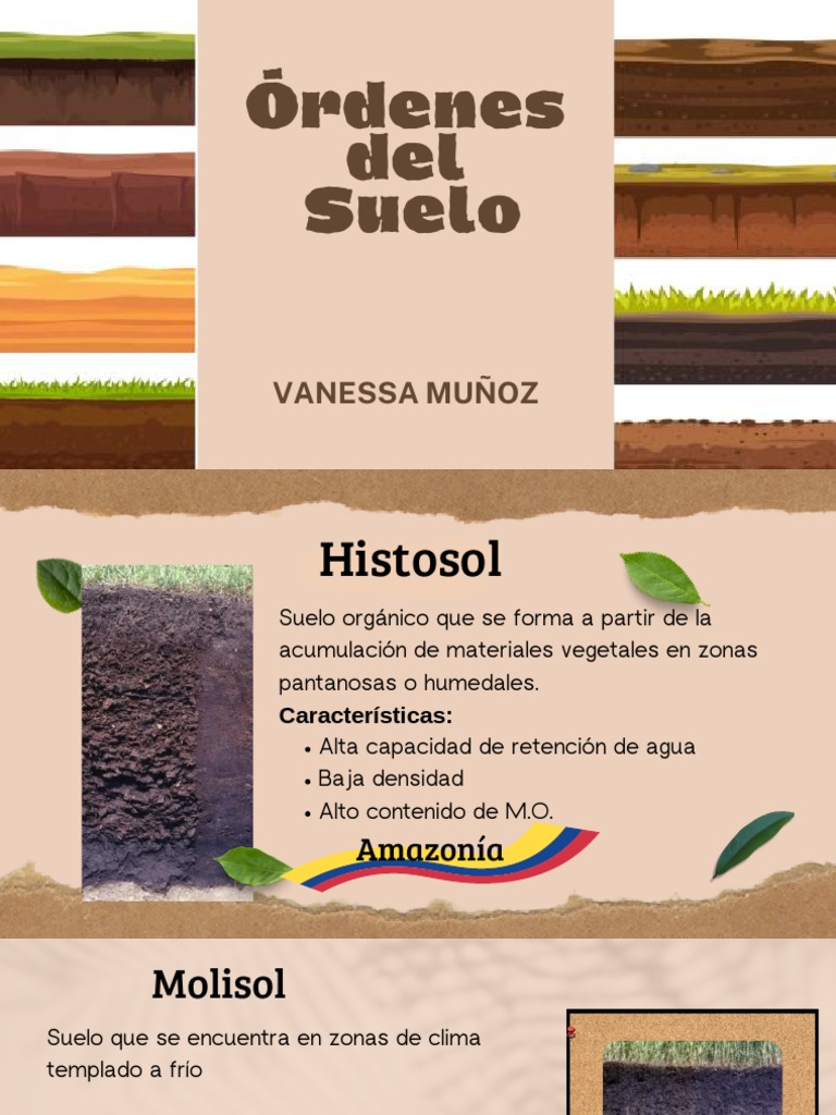 Ordenes Del Suelo | PDF | Suelo | Agua