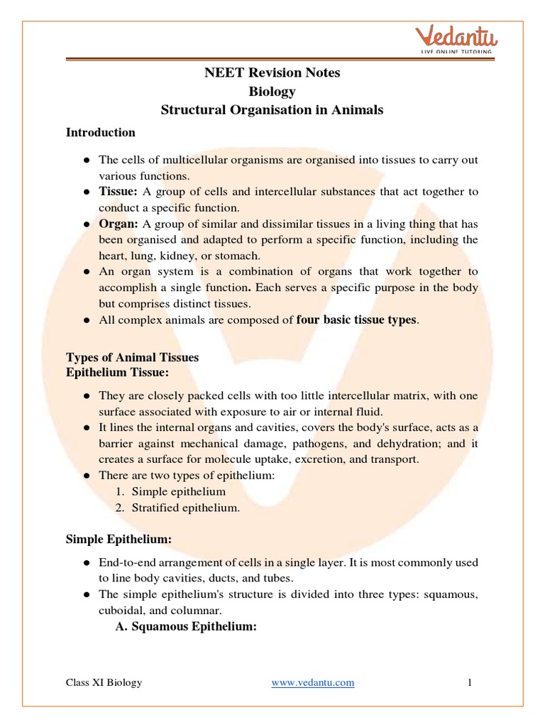 Revision Notes On Structural Organisation in Animals NEET 2023 - Free ...