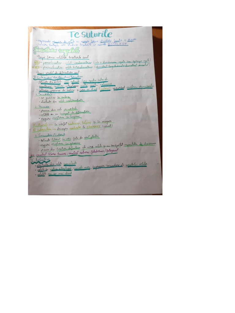 Tesuturile - Vegetale Clasa A X A | PDF