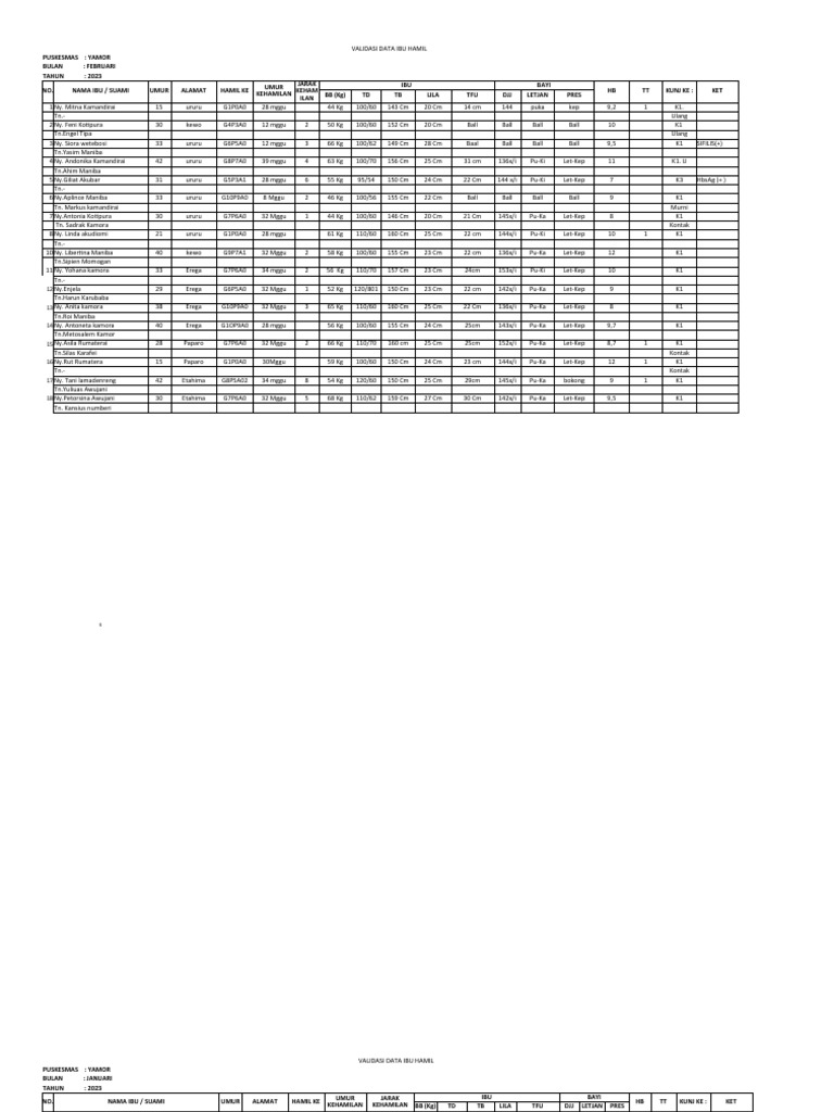 Validasi Data Bumil 2023 | PDF