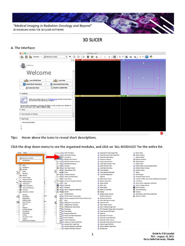 3D Slicer | PDF | 3 D Computer Graphics | Icon (Computing)