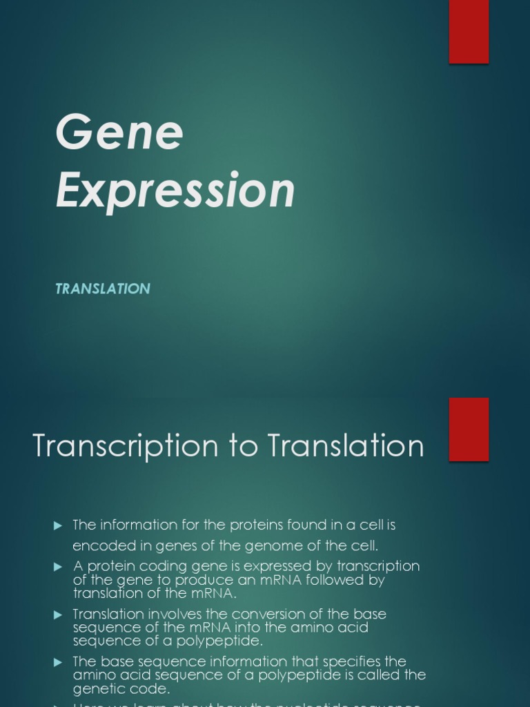 SYBT Sem III Unit II Translation | PDF | Translation (Biology) | Ribosome