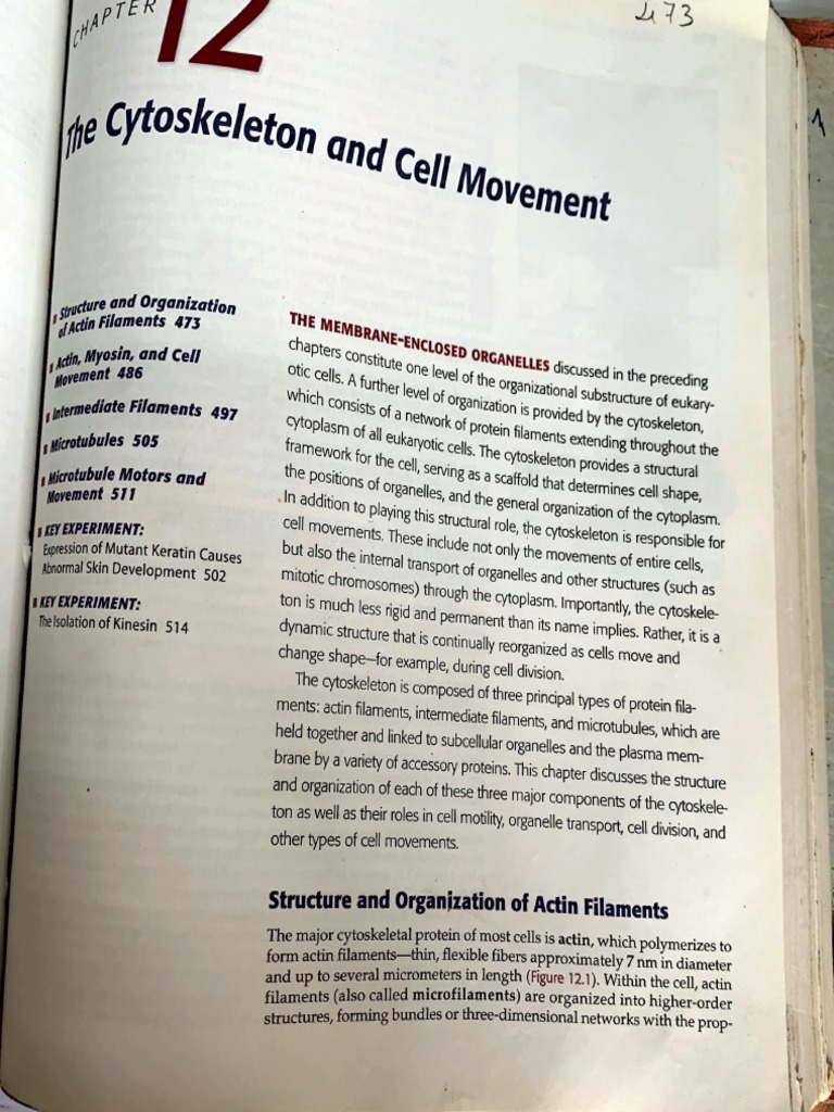 Cell Biology (Cooper) | PDF