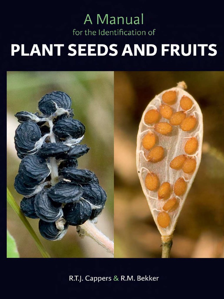A Manual For The Identification of Plant | PDF