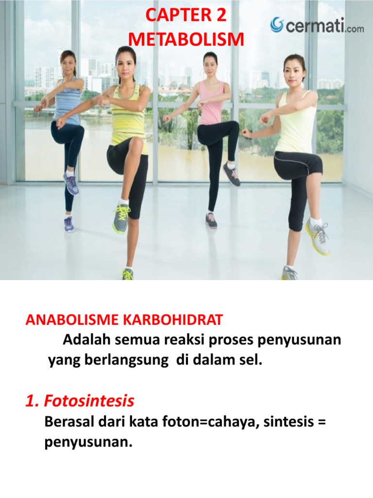 Metabolisme - Biologi Kelas 12 | PDF | Sains & Matematika