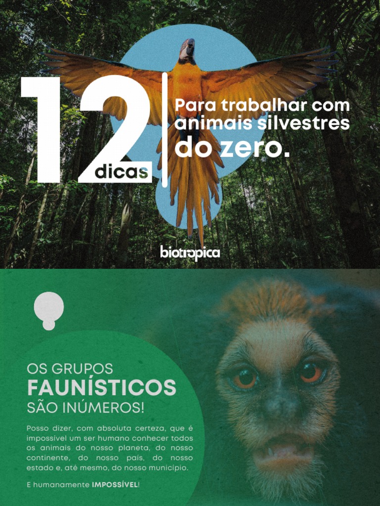 E-Book 12 Dicas - Comprimido | PDF