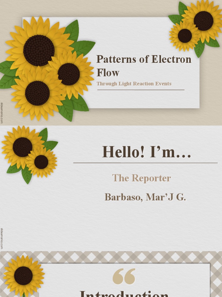 Patterns of Electron Flow Through Light Reaction Events | PDF ...