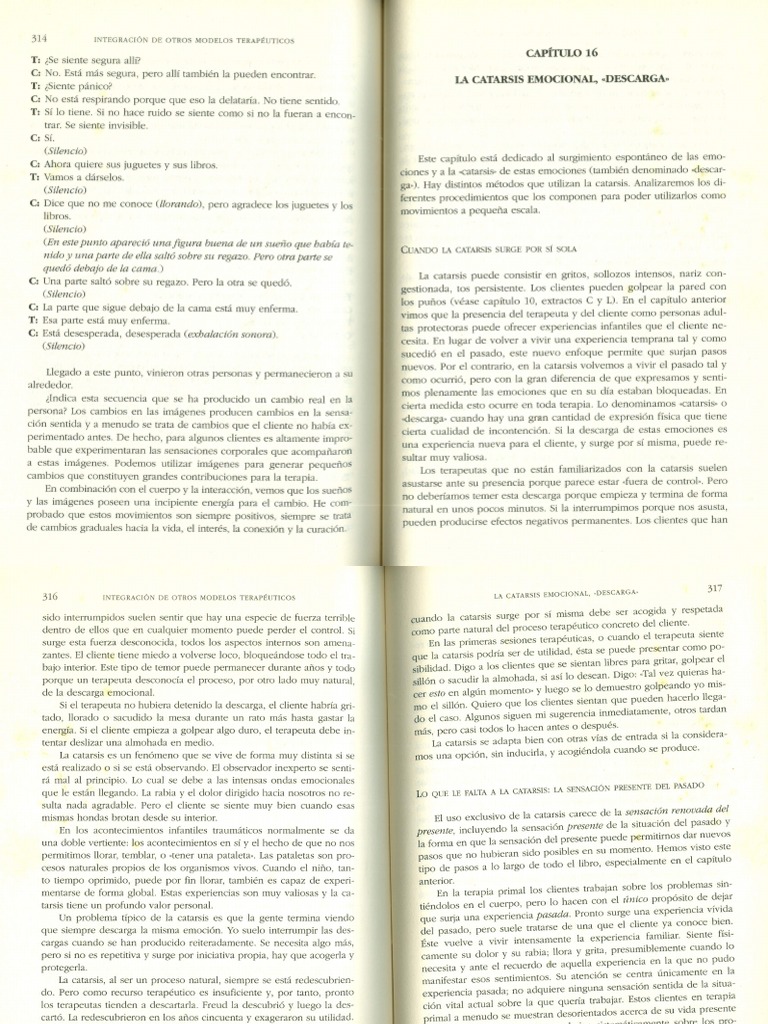 Catarsis Emocional | PDF