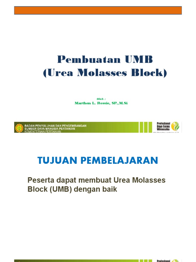 Panduan Membuat UMB Ternak | PDF