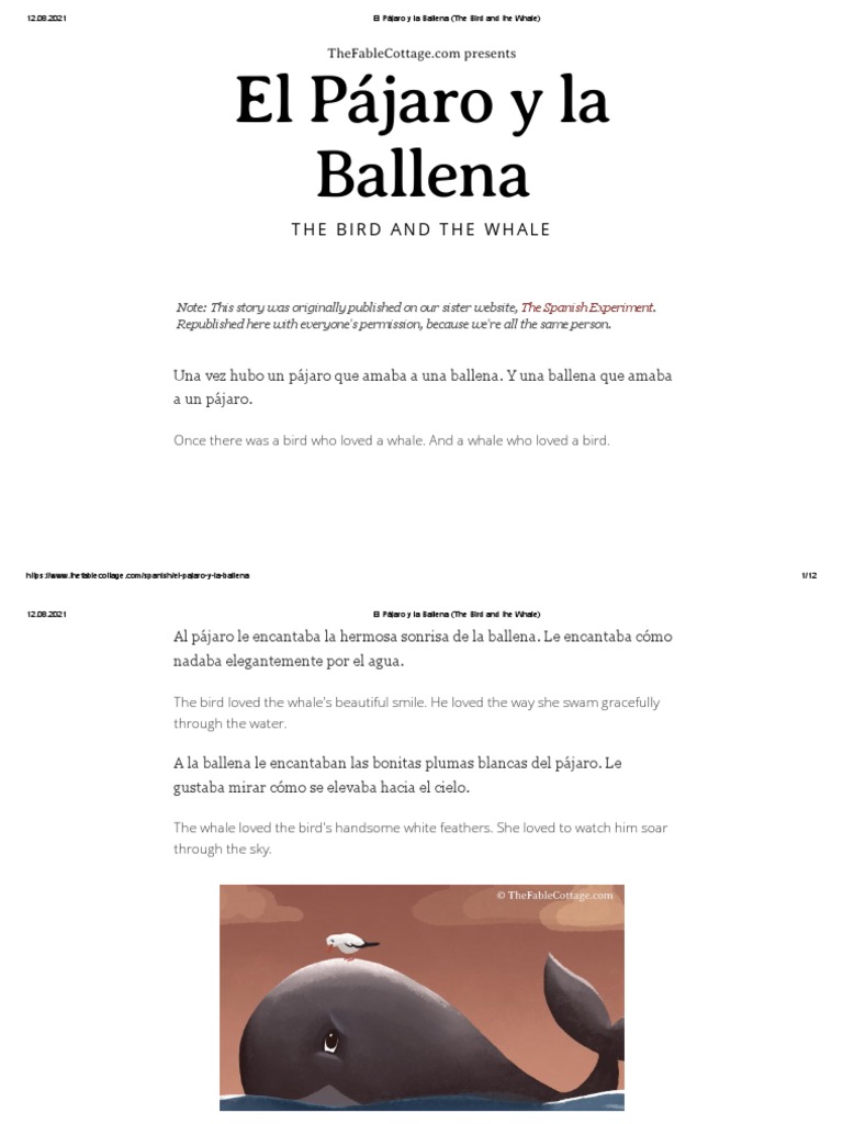 El Pájaro y La Ballena (The Bird and The Whale) | PDF