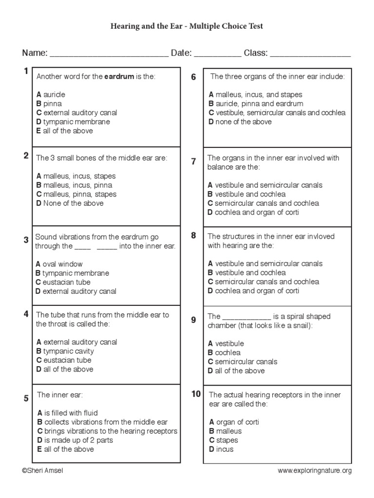 Ear Multiple Choice | PDF | Ear | Hearing