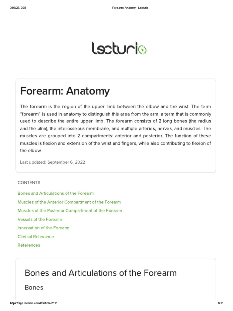 Forearm - Anatomy - Lecturio | PDF