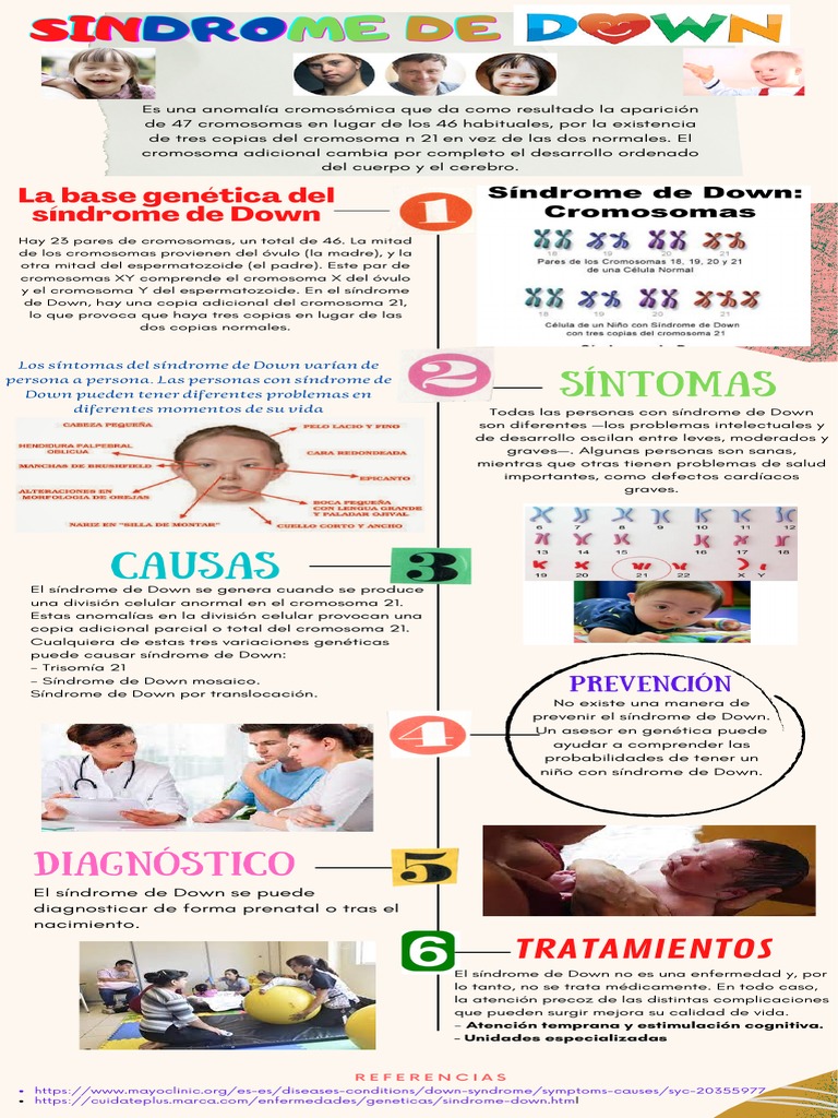 Sindrome de Down | PDF | Síndrome de Down | Enfermedades y trastornos