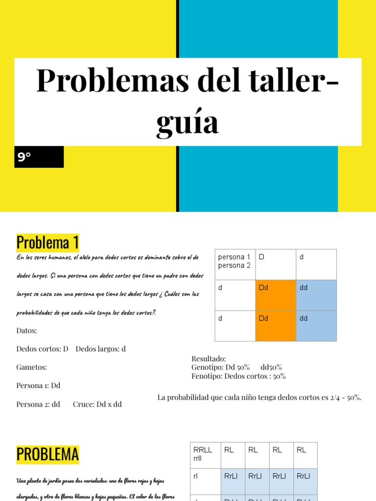 Problemas Del Taller - Guía | PDF | Dominancia (Genética) | Evolución biológica