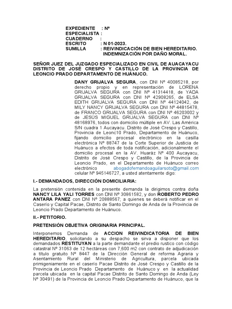 Escrito Demanda | PDF | Propiedad | Demanda judicial