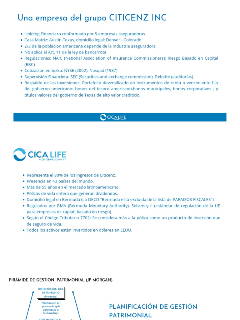 Cica Resumen | PDF | Seguro | Bolsa