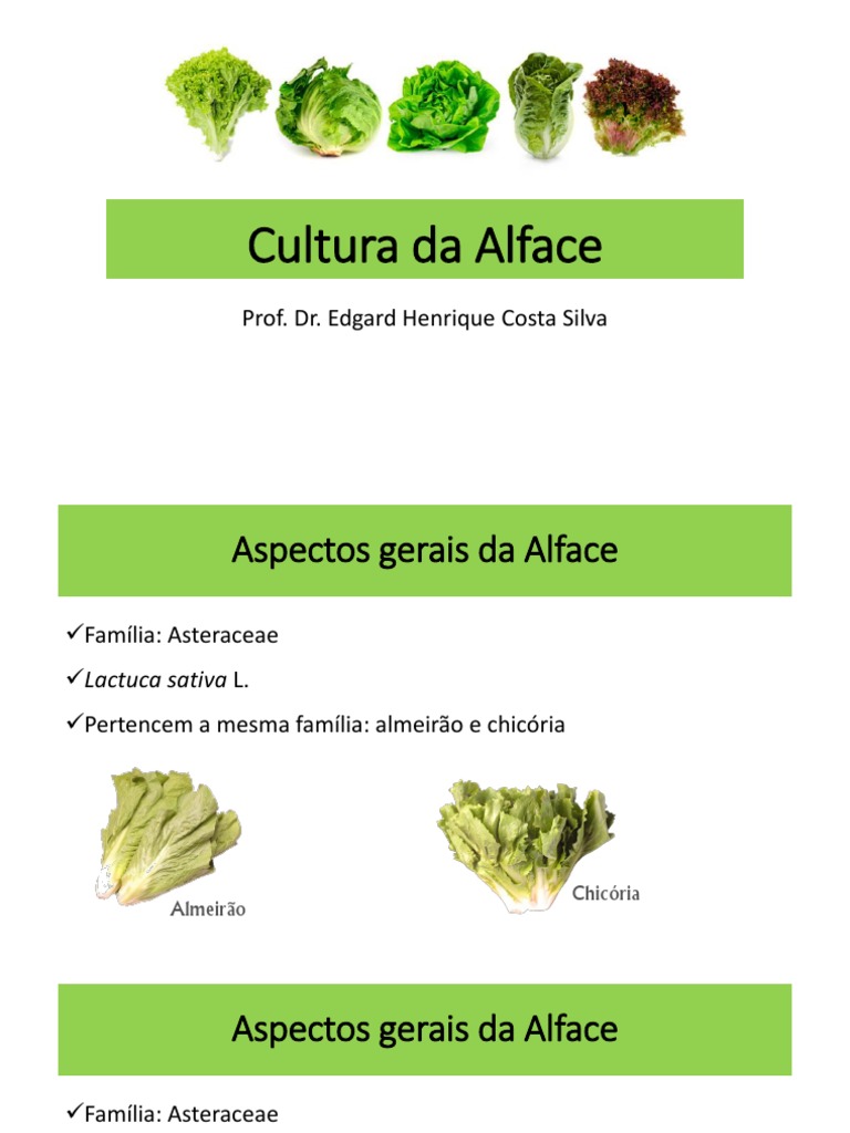 AULA 03 Cultura Da Alface - Aula 3 | PDF