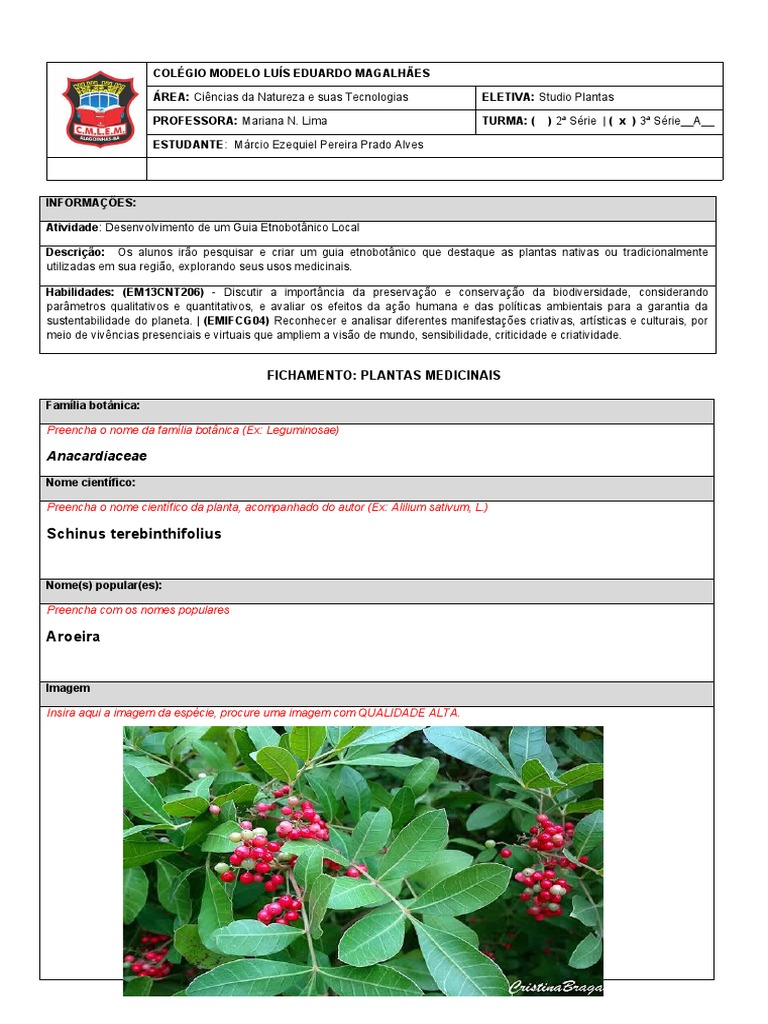 Guia Etnobotânico: Aroeira Medicinal | PDF | Ciências e Matemática