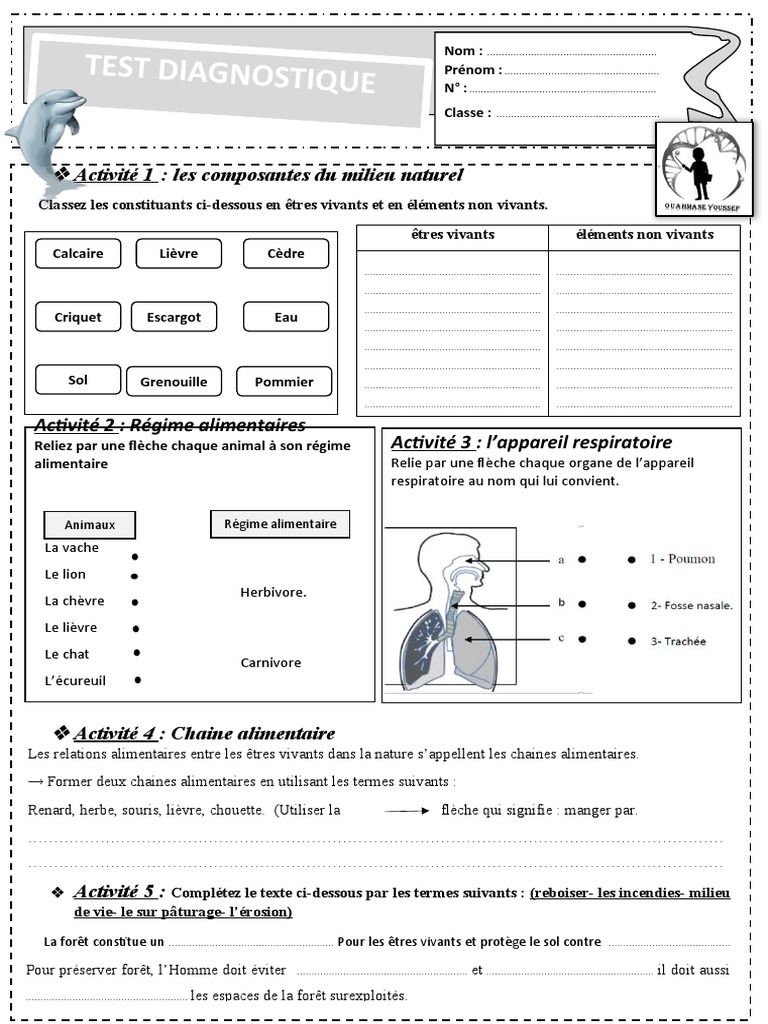 Evaluation Diagnostique SVT 1AC Word 17 | PDF | Reptile | Eau