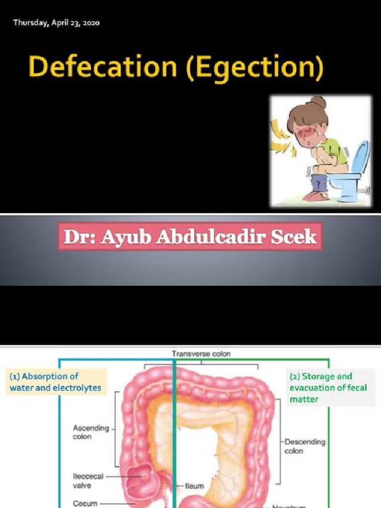Egestion Biology M2 Nutrition