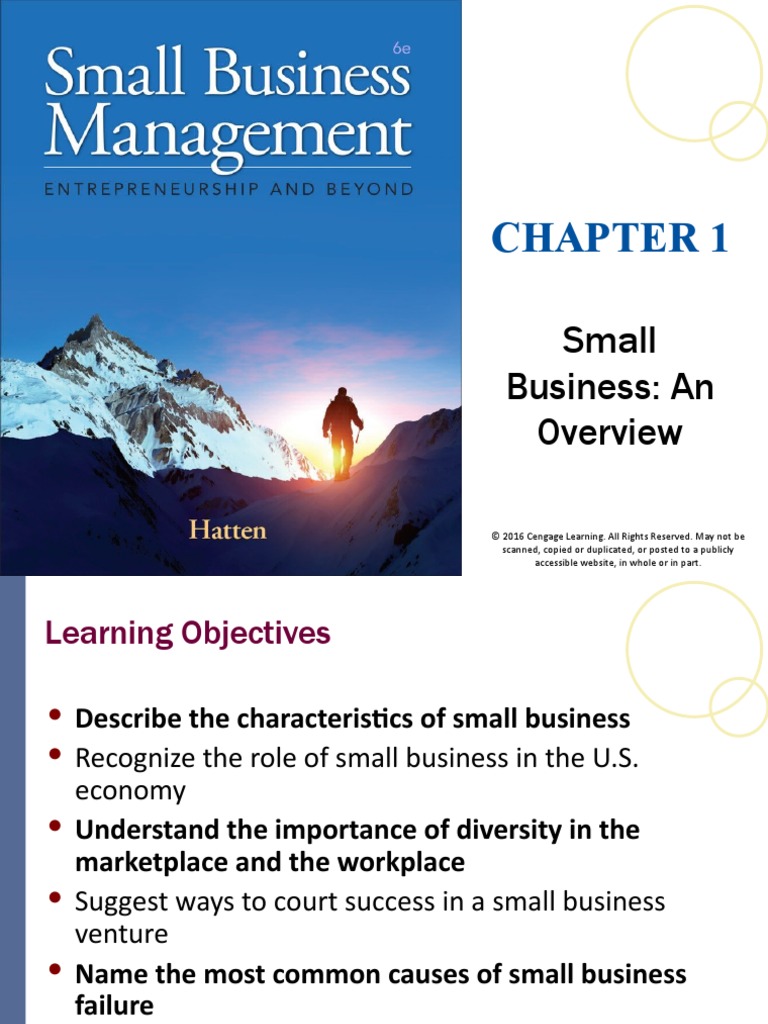 Hatten PPT Ch01 | PDF | Business | Finance & Money Management