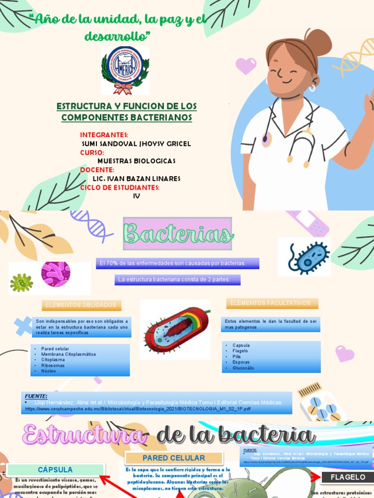 Muestras Biologicas - Estructuras y Funciones Bacterianas | PDF