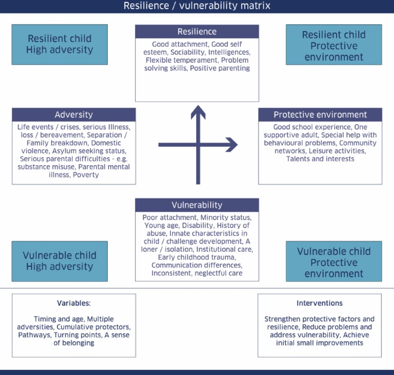 SHANARRI+ +Vulnerability+Matrix | PDF