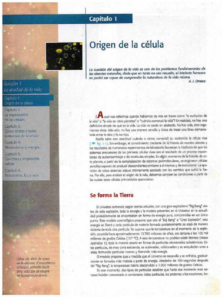 Origen de La Celula | PDF