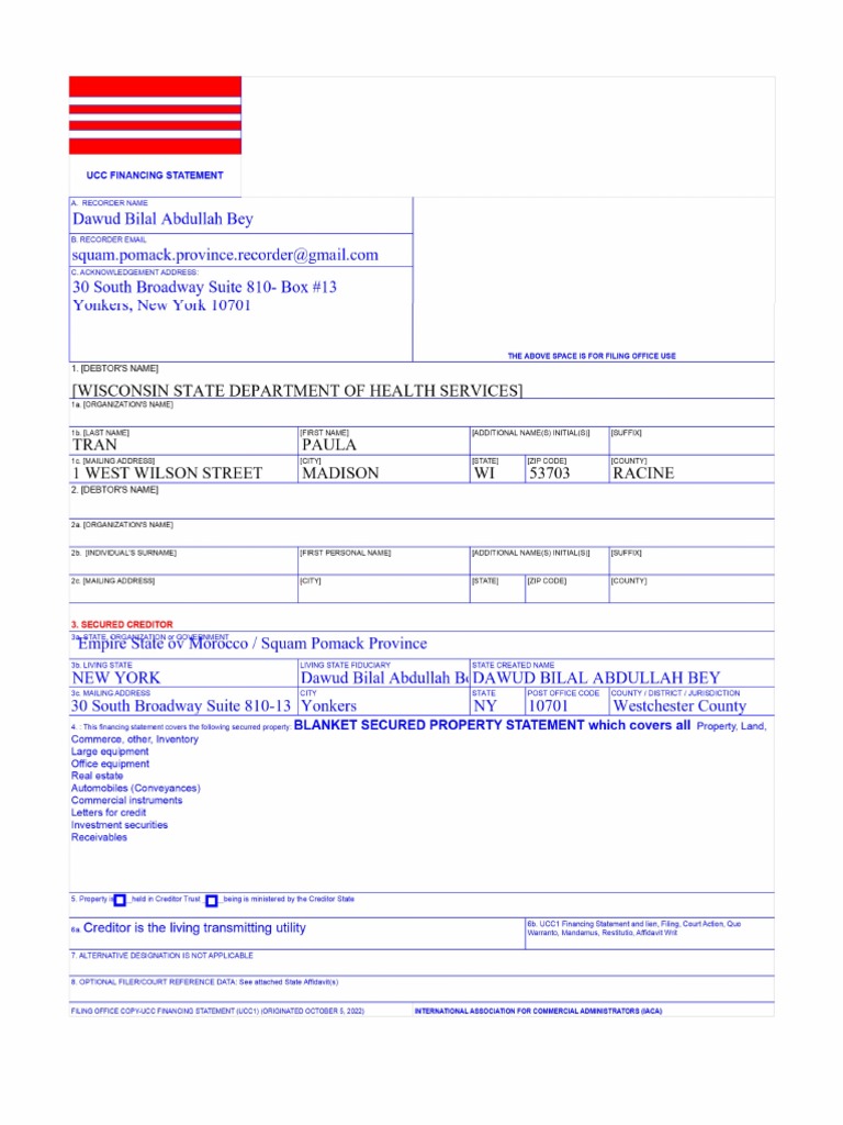 UCC1 Financing Statement | PDF