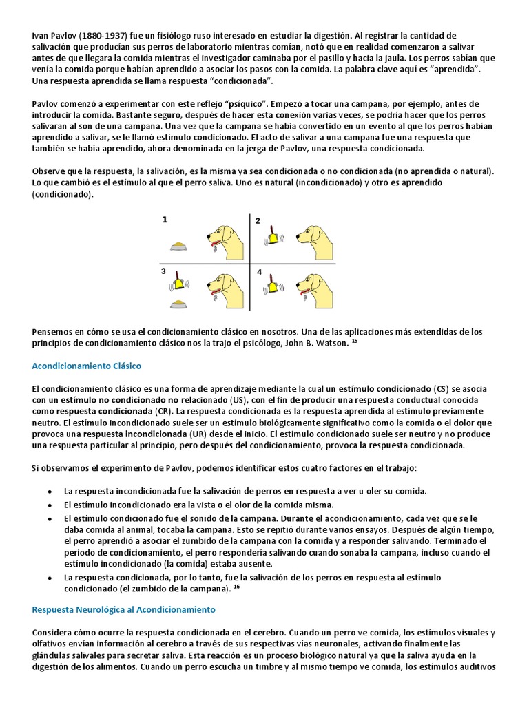Experimento de Pavlov y salivación canina | PDF | Comportamiento ...