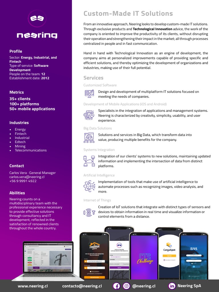 Soluciones IT Personalizadas de Neering | PDF