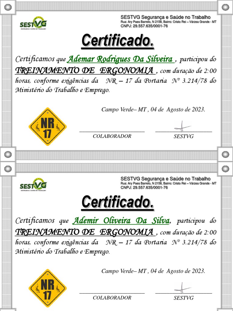 Certificado de Ergonomia | PDF | Ambiente de trabalho | Segurança