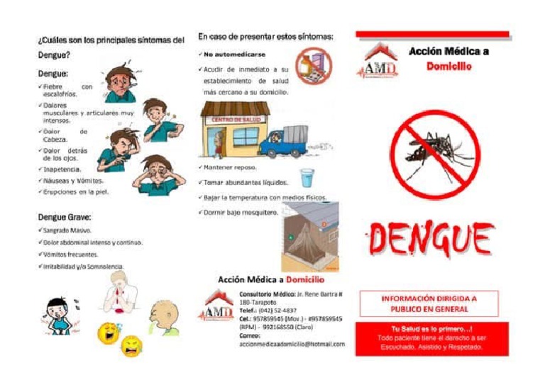 Triptico Del Dengue | PDF