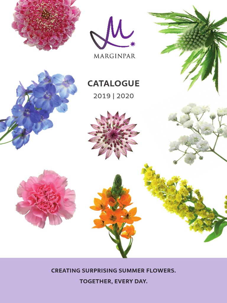 Marginpar Catalogue | Download Free PDF | Flowers | Plants