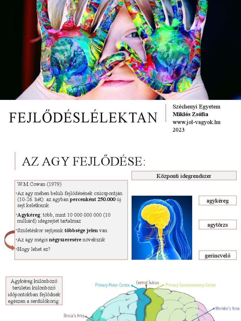 1 Csecsemőkor I. Fejlődéslélektan | PDF