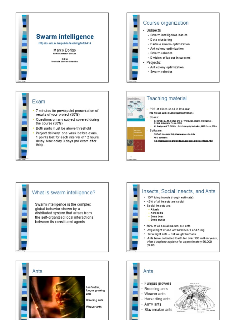 1-Introduction To Swarm Intelligence | PDF