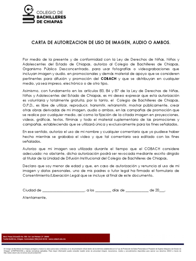 Carta de Autorizacion de Uso de Imagen 2023 | PDF
