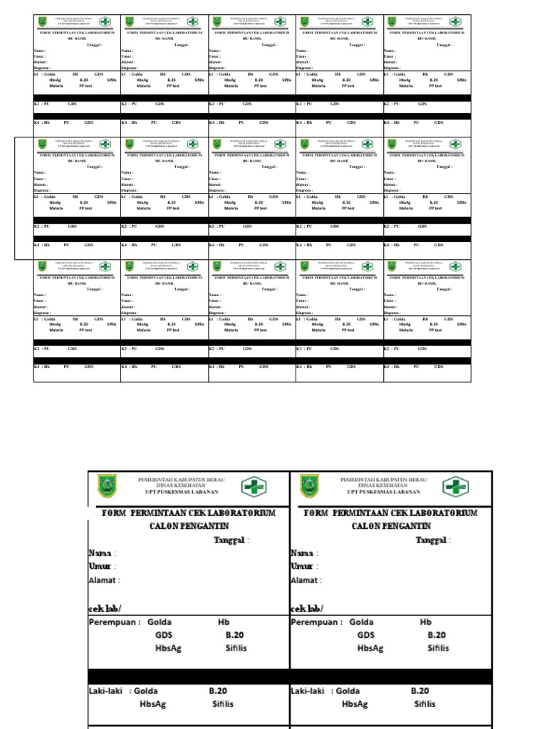 Form LAB Bumil Dan Catin | PDF